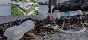 Tonga: A ‘Paradise’ in the South Pacific Ocean Turns to a Plastic ...