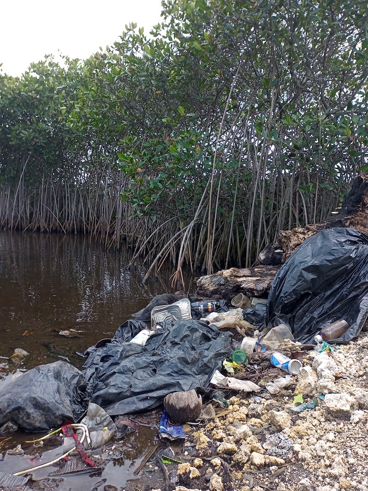Ocean Currents Bringing Plastic Waste to Tonga - IDN-InDepthNews